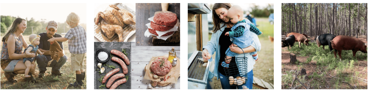 Farm To Table Fresh Life In The Dayngrzone